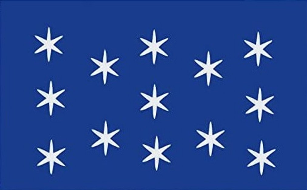 Chapter Historic Flags Display - George Washington Chapter – Washington SAR